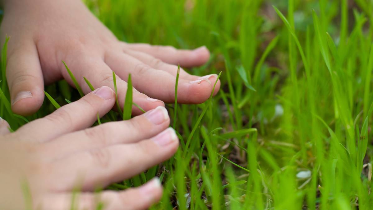 What Does "Touch Grass" Mean?