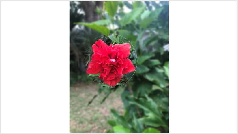 How to Highlight Part of an Image in Microsoft PowerPoint