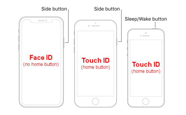 iphone touch id