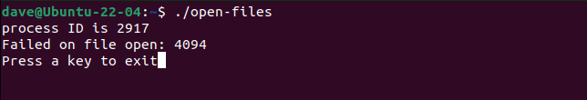 How to Solve the "Too Many Open Files" Error on Linux