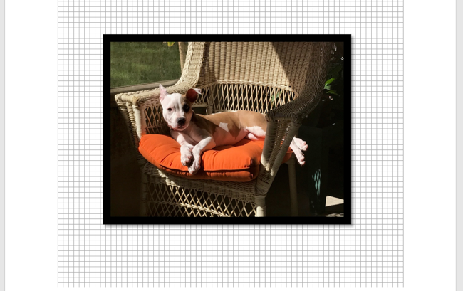 How to Perfectly Align Objects and Images in Microsoft Word