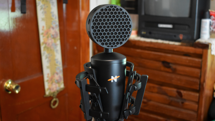 King Bee II Microphone Review: The Hype Is Questionable