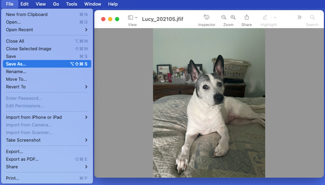 How to Convert a JFIF File to JPG on Windows or Mac