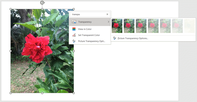 How to Quickly Search the Menus in Microsoft Office
