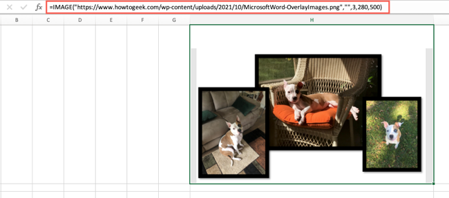How to Use the IMAGE Function in Microsoft Excel
