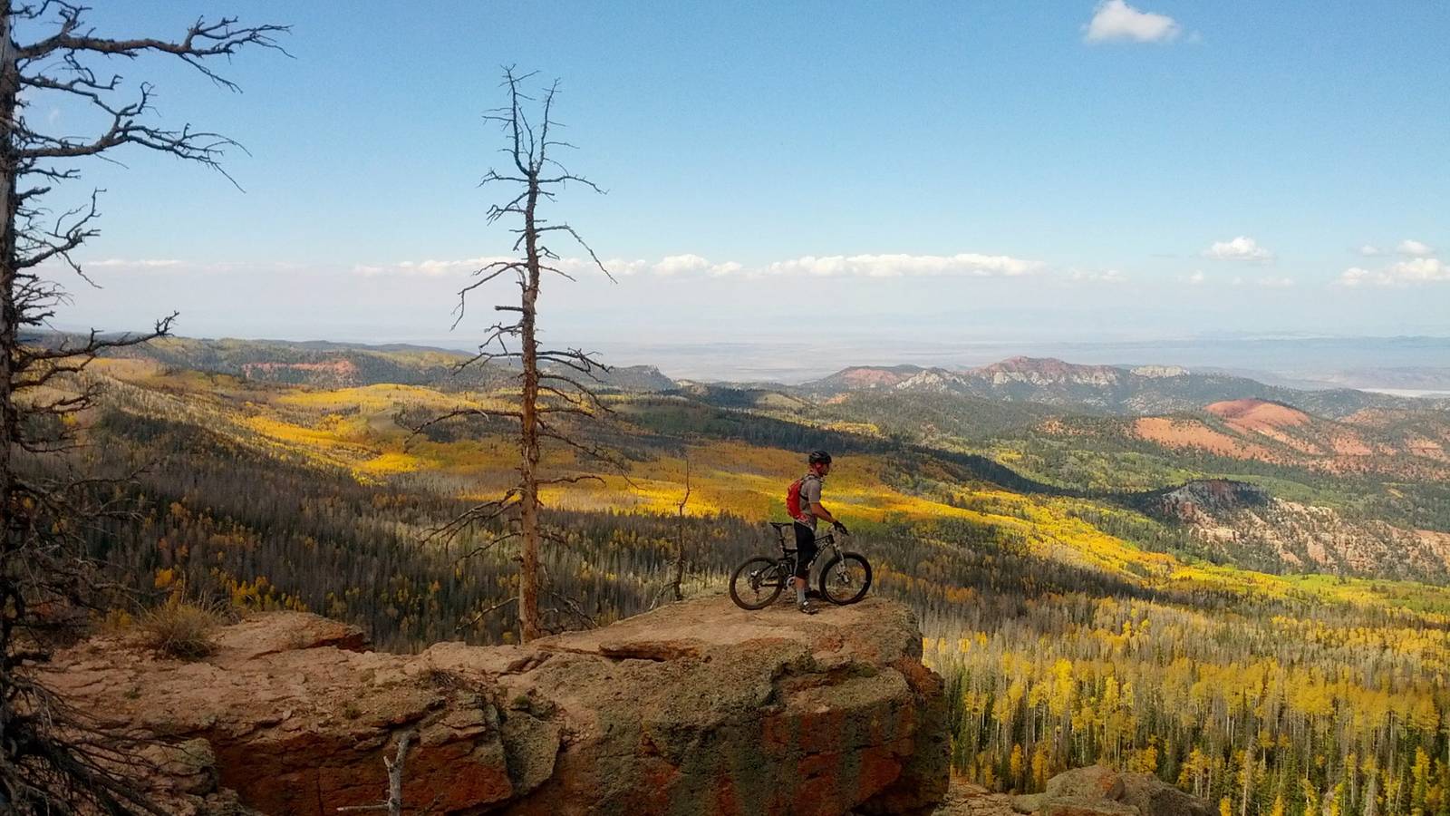 Why I'll Only Buy an Electric Bike Moving Forward