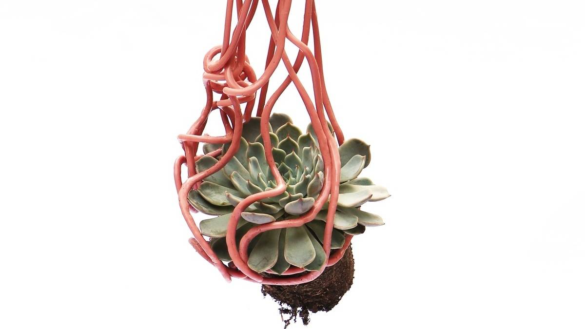 This Creepy Tentacle Robot From Harvard Can Handle Your Fragile Items