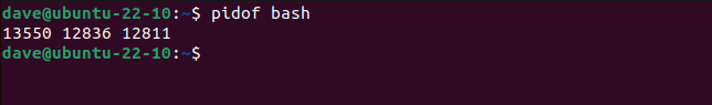 How to Find the PID of a Linux Process With pidof or pgrep