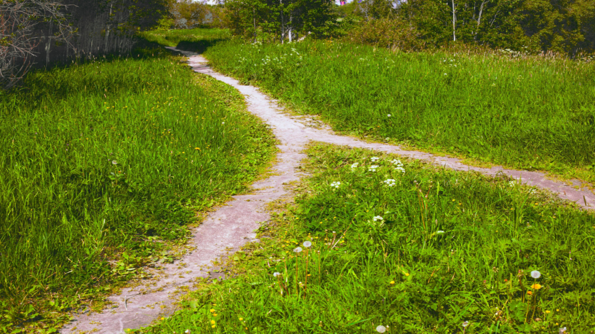 How to Use Git merge