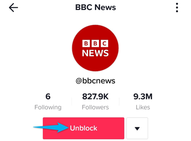 How to Block or Unblock Someone on TikTok
