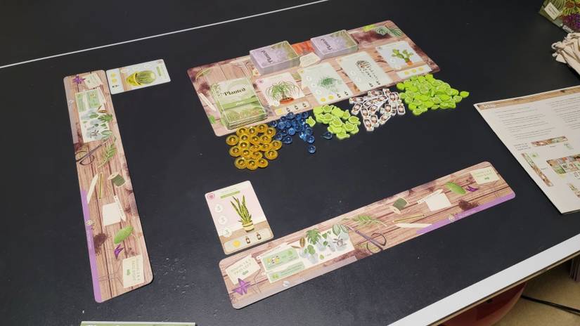 'Planted' Board Game Review: Simple Fun, Especially For Plant Lovers