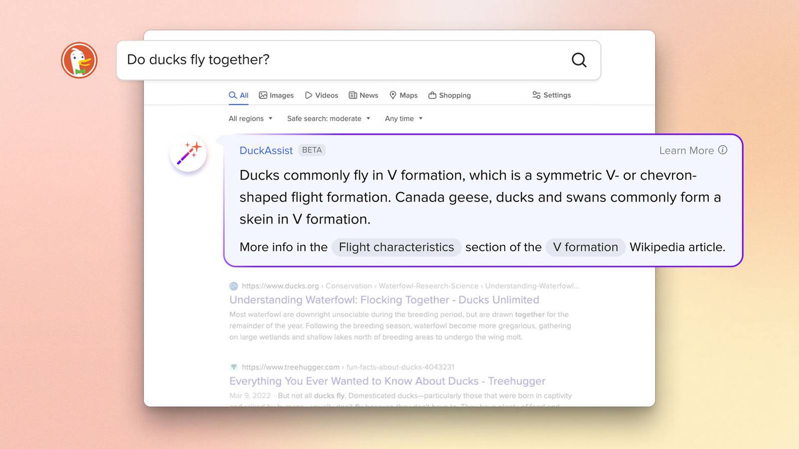 DuckDuckGo's New AI Search Is Taking a Different Approach