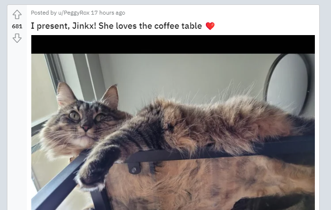 10 Weird Subreddits You Need to See