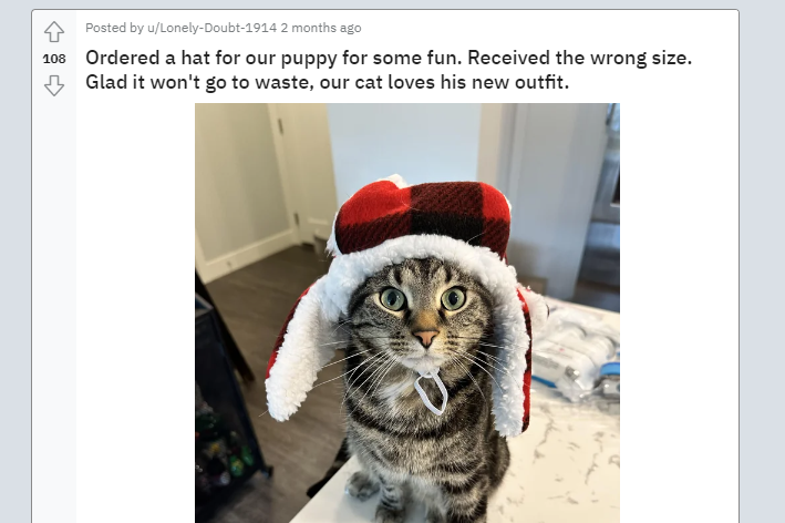 10 Weird Subreddits You Need to See