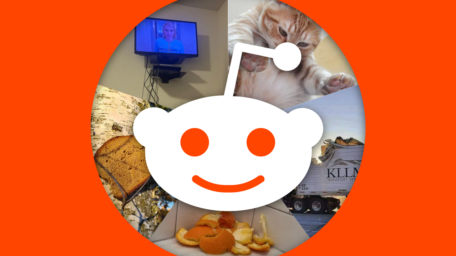 10 Weird Subreddits You Need to See