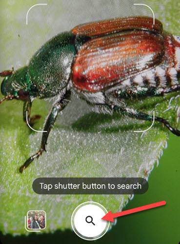 Why You Should Be Using Google Lens: 7 Awesome Uses