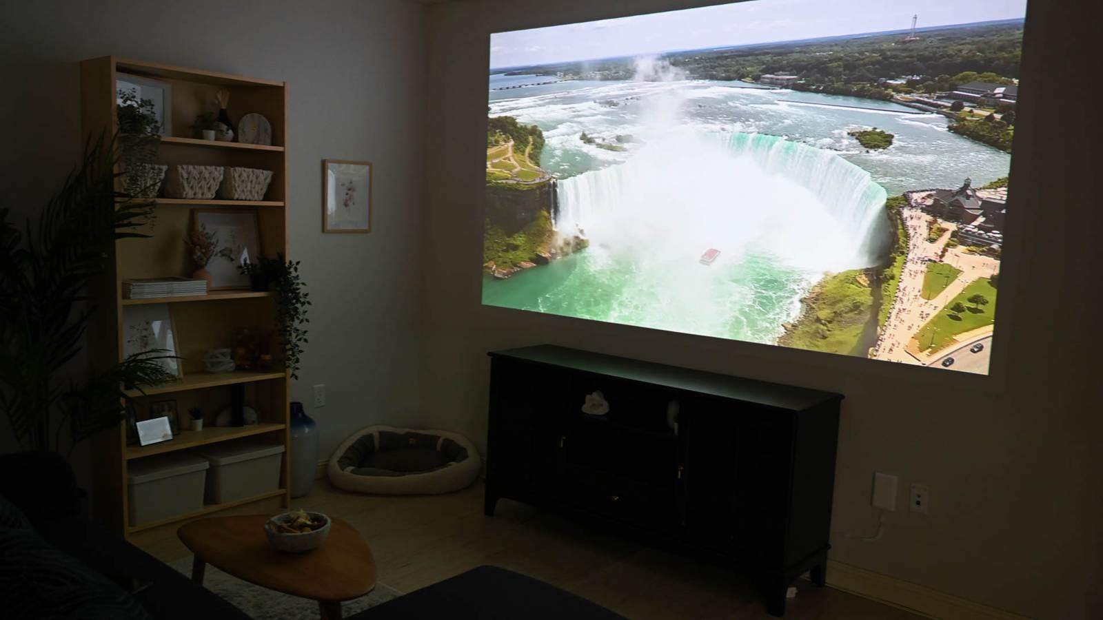 The Best Projector Screens of 2024