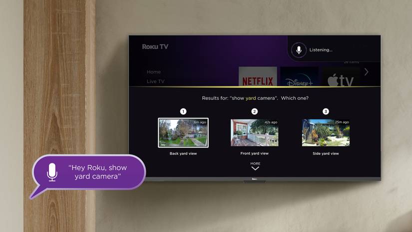 Roku's New Smart Device Is a Home Monitoring System