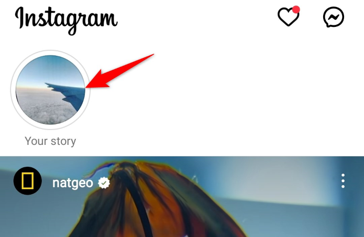 How to Save and Download Instagram Stories