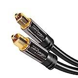 What Is the Optical Audio Port, and When Should I Use It?