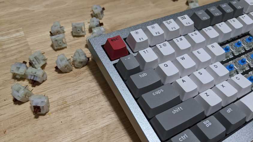 How to Avoid Disaster When a Cat Walks Across Your Keyboard