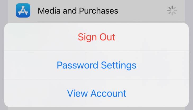 How to Fix "Cannot Connect to App Store" on iPhone or iPad