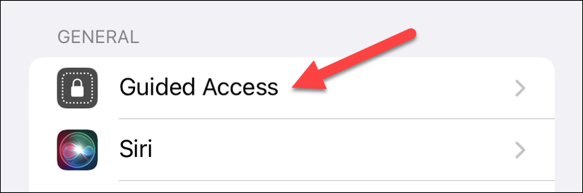 How to Lock an App to the Screen on iPhone and iPad