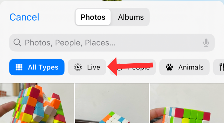How to Create Animated Stickers From Live Photos on Your iPhone