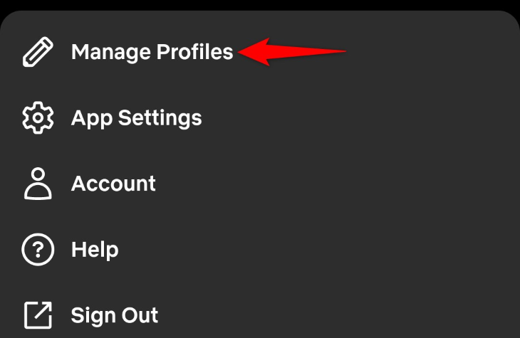 Can You Set a Custom Profile Picture on Netflix?