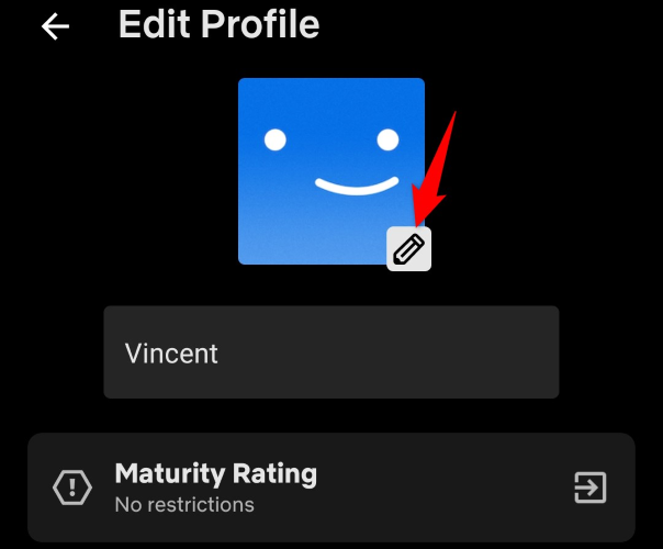 Can You Set a Custom Profile Picture on Netflix?