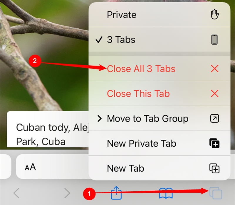 How to Close All Safari Tabs at Once on iPhone and iPad