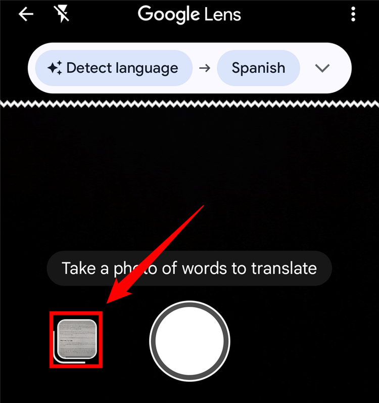 How to Scan and Translate a Picture in Google Translate