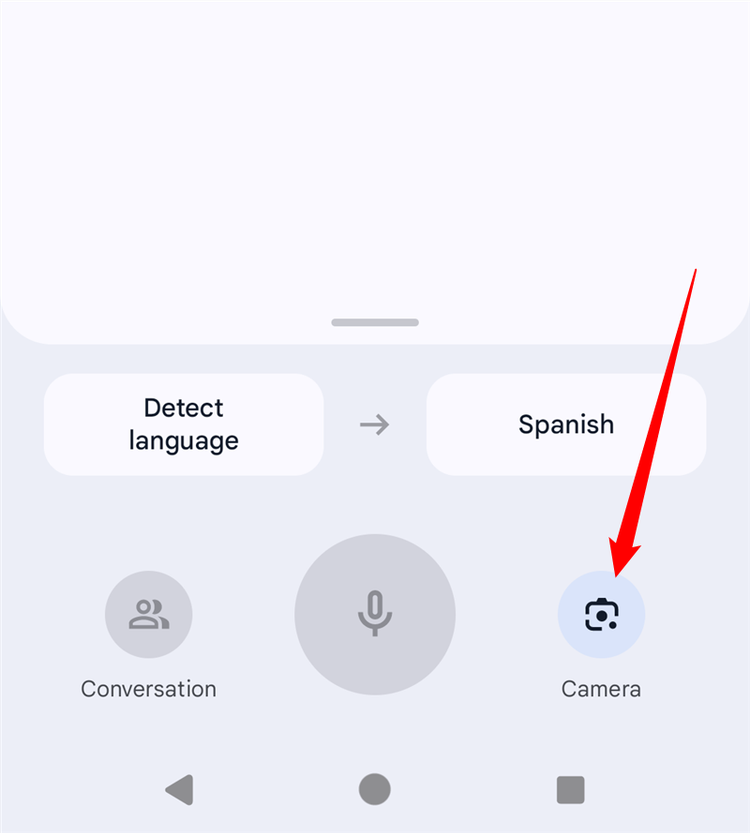 How to Scan and Translate a Picture in Google Translate