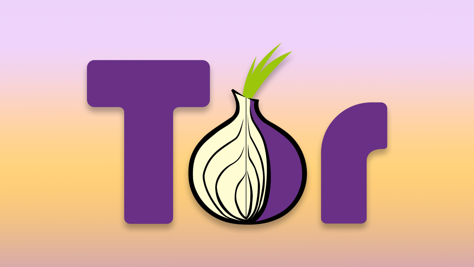 Tor Browser Has a New ”WebTunnel” Feature to Avoid Censorship