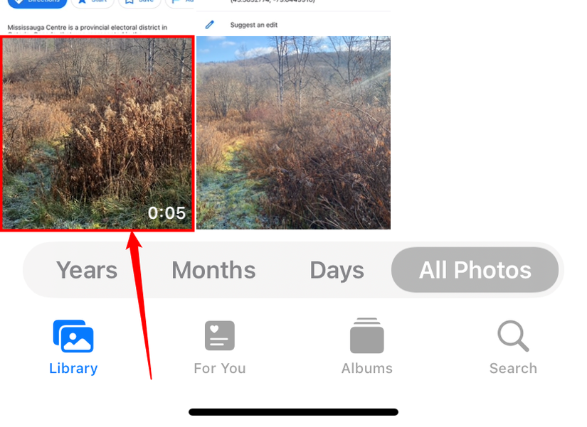 How to Remove Audio from a Video Before Sharing It on iPhone