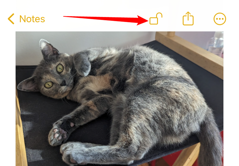 How to Password Protect Photos on iPhone and iPad