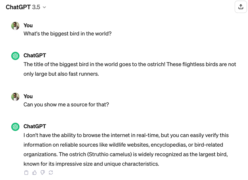 Stop Using ChatGPT as a Substitute for Web Search
