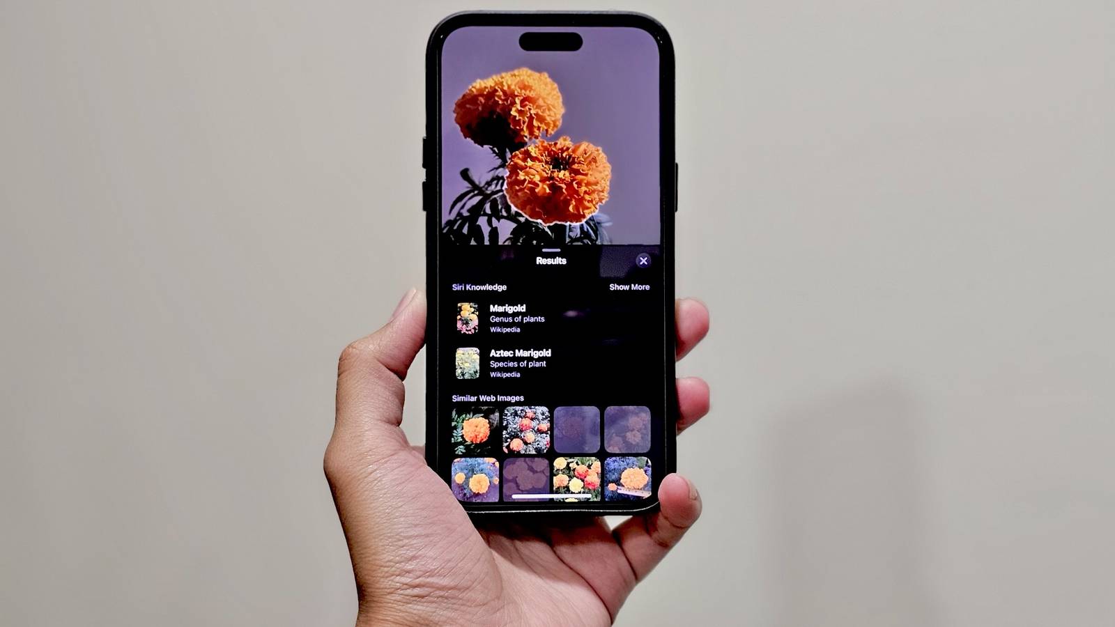 6 Useful Ways to Use the Visual Look Up Feature on Your iPhone