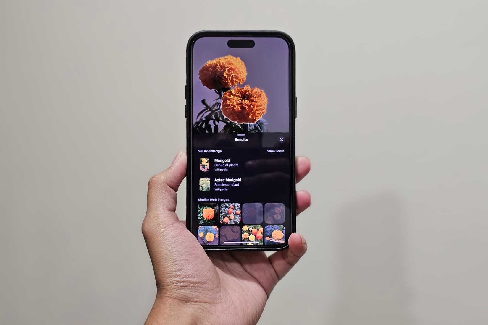 What Is Apple’s Enhanced Visual Search and Should You Turn It Off?