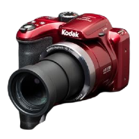 The Best Point-and-Shoot Cameras of 2024