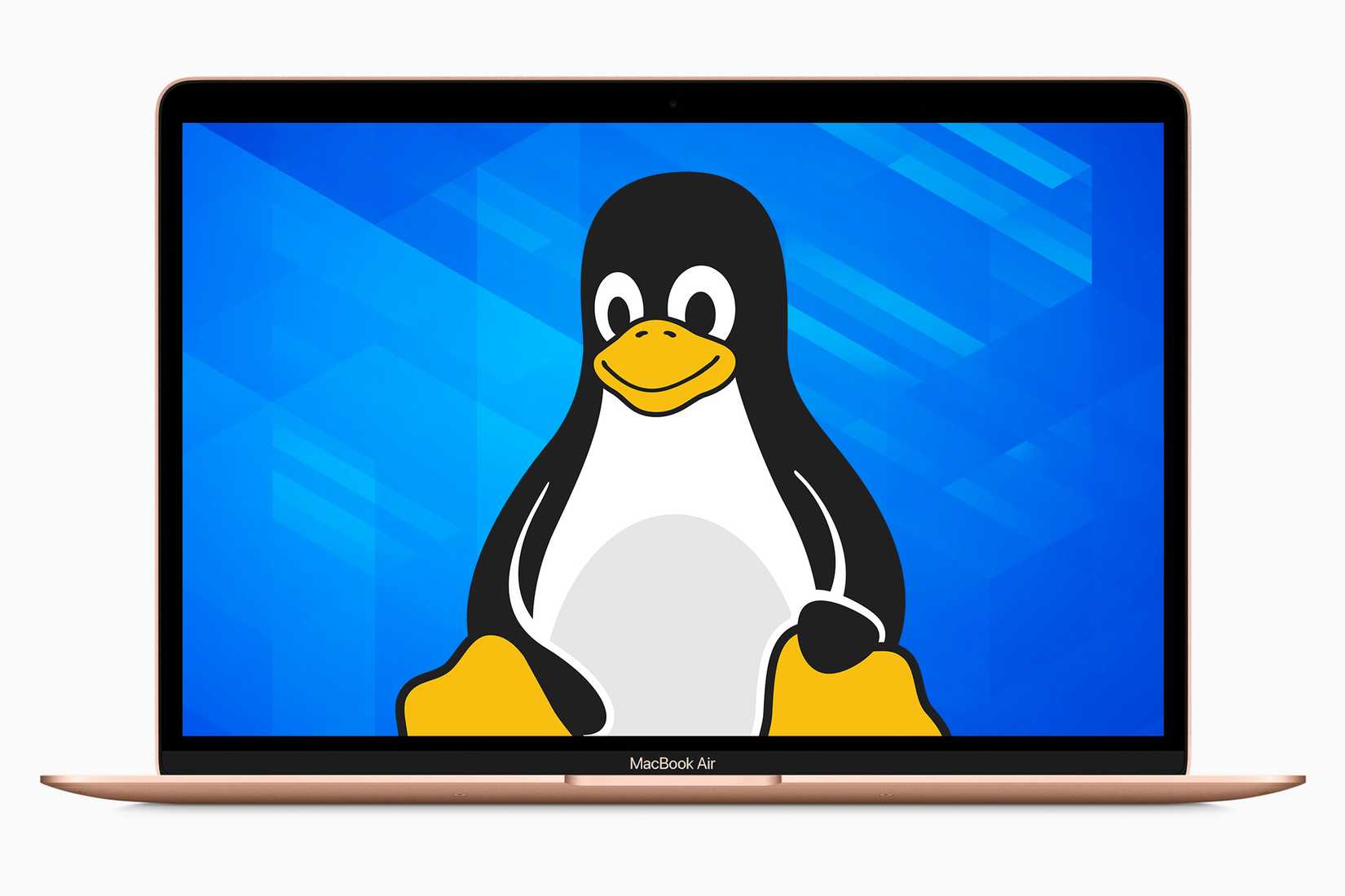 macOS vs. Linux: Which Is Best for Your Homelab?