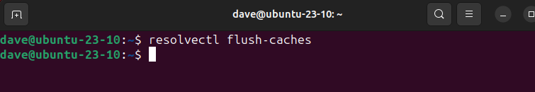 How to Flush Your DNS Cache in Ubuntu
