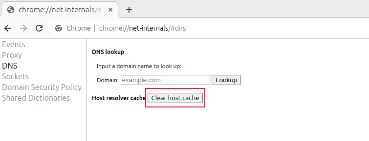 How to Flush Your DNS Cache in Ubuntu