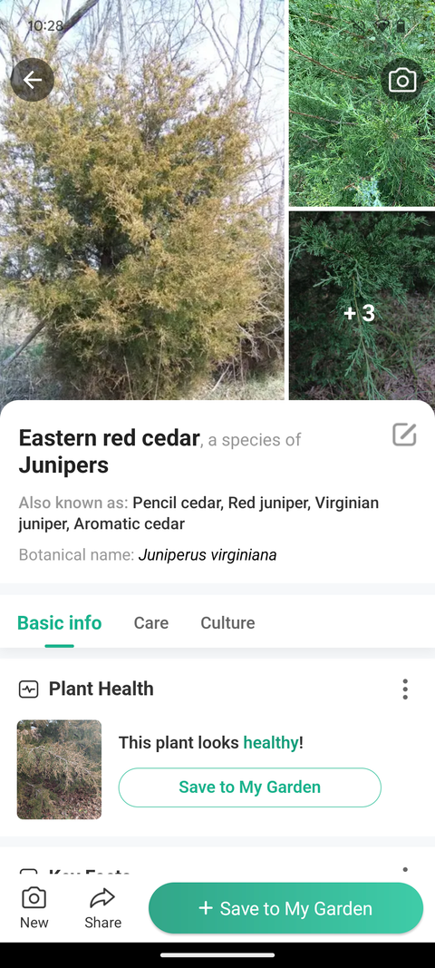 5 Best Plant Identifier Apps for Android