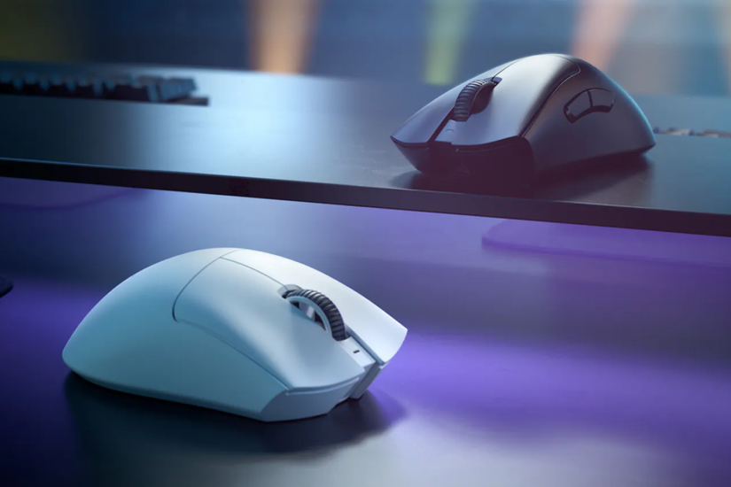 The Best Mice of 2024