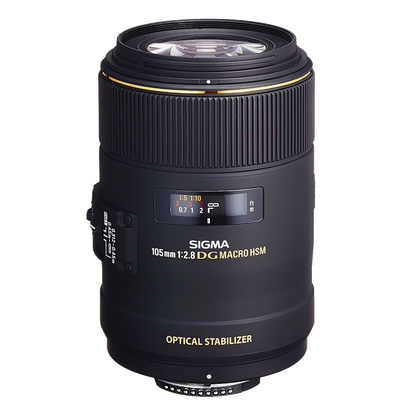 What Is Macro Photography?
