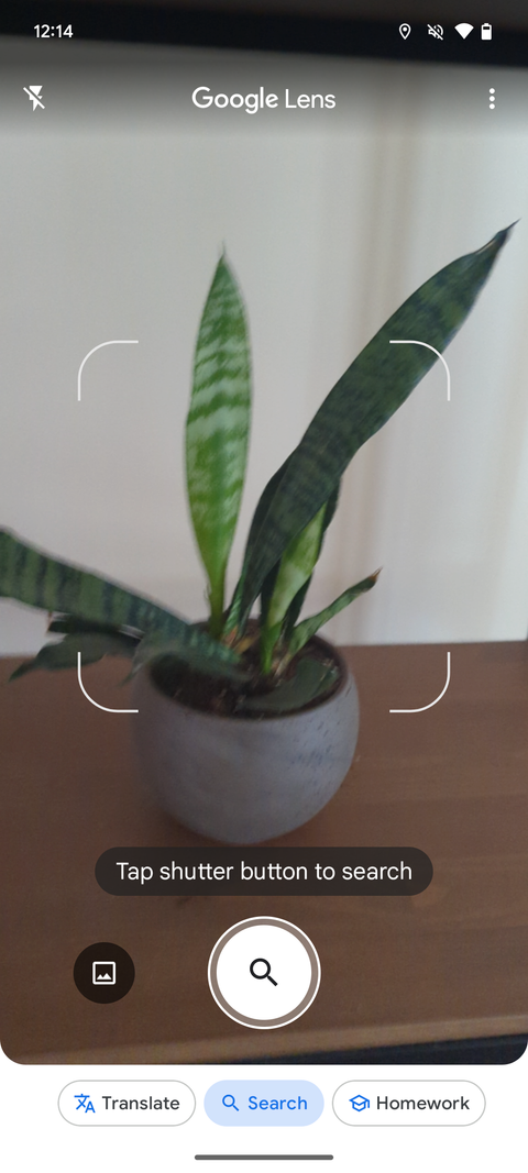 5 Best Plant Identifier Apps for Android