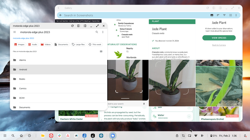 Replacing Your PC With Your Smartphone Is Amazing, Here's Why