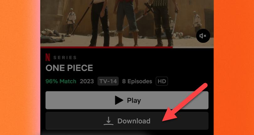 How to Download Movies and TV Shows to Watch Them on an Airplane (or ...