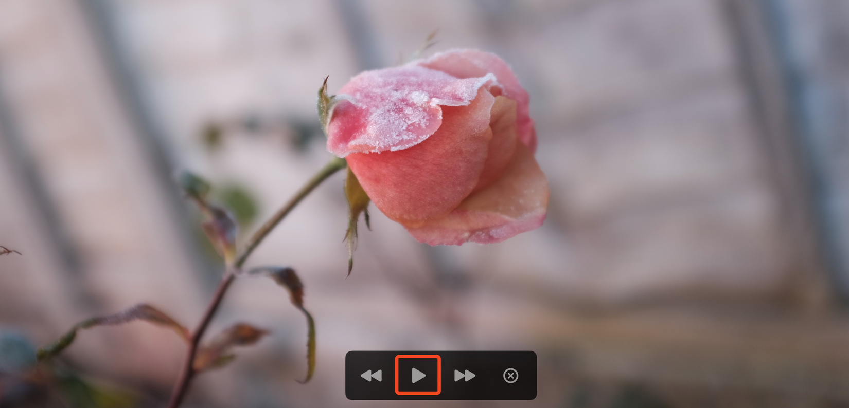 12 Things You Didn’t Know You Could Do in the Preview App on a Mac